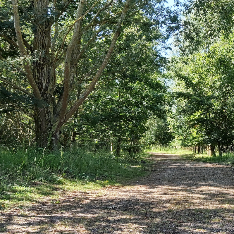 About the Forest of Marston Vale - Corporate Greetings UK