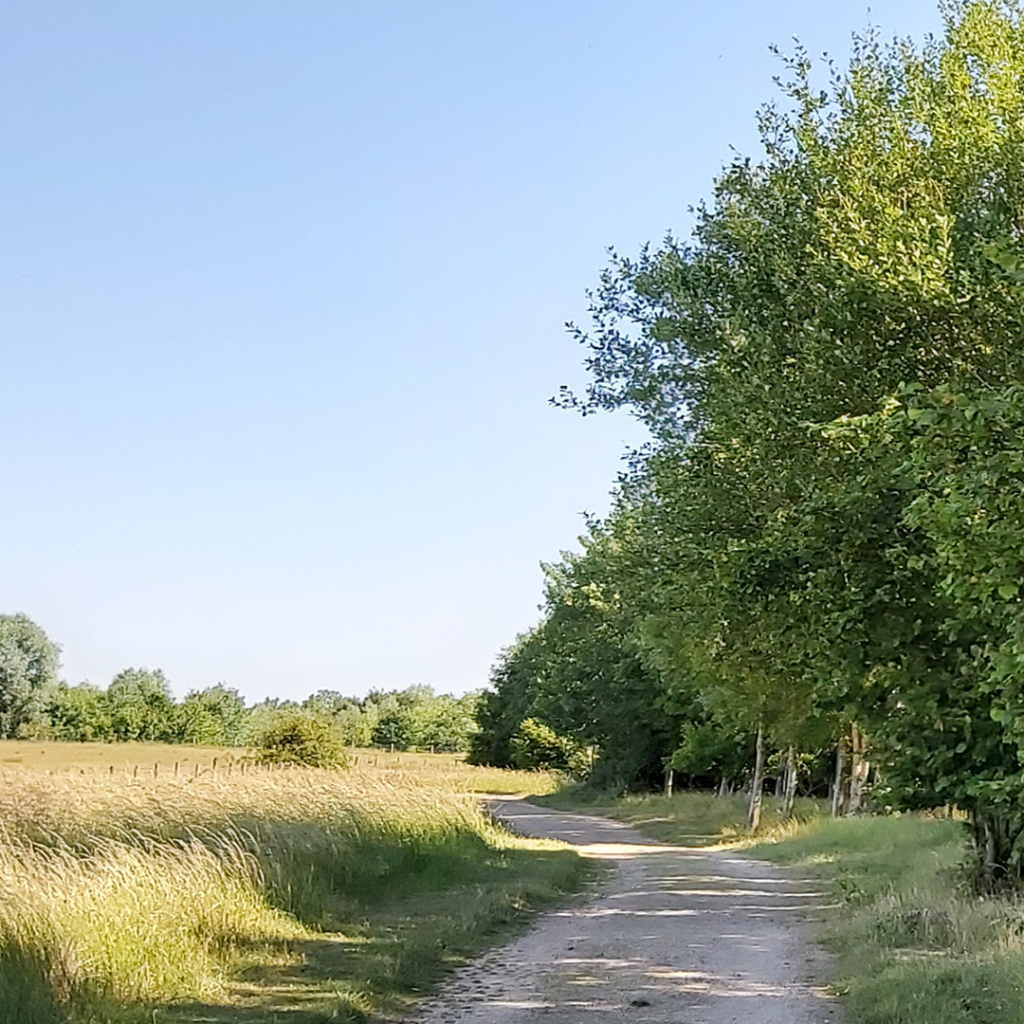 About the Forest of Marston Vale - Corporate Greetings UK
